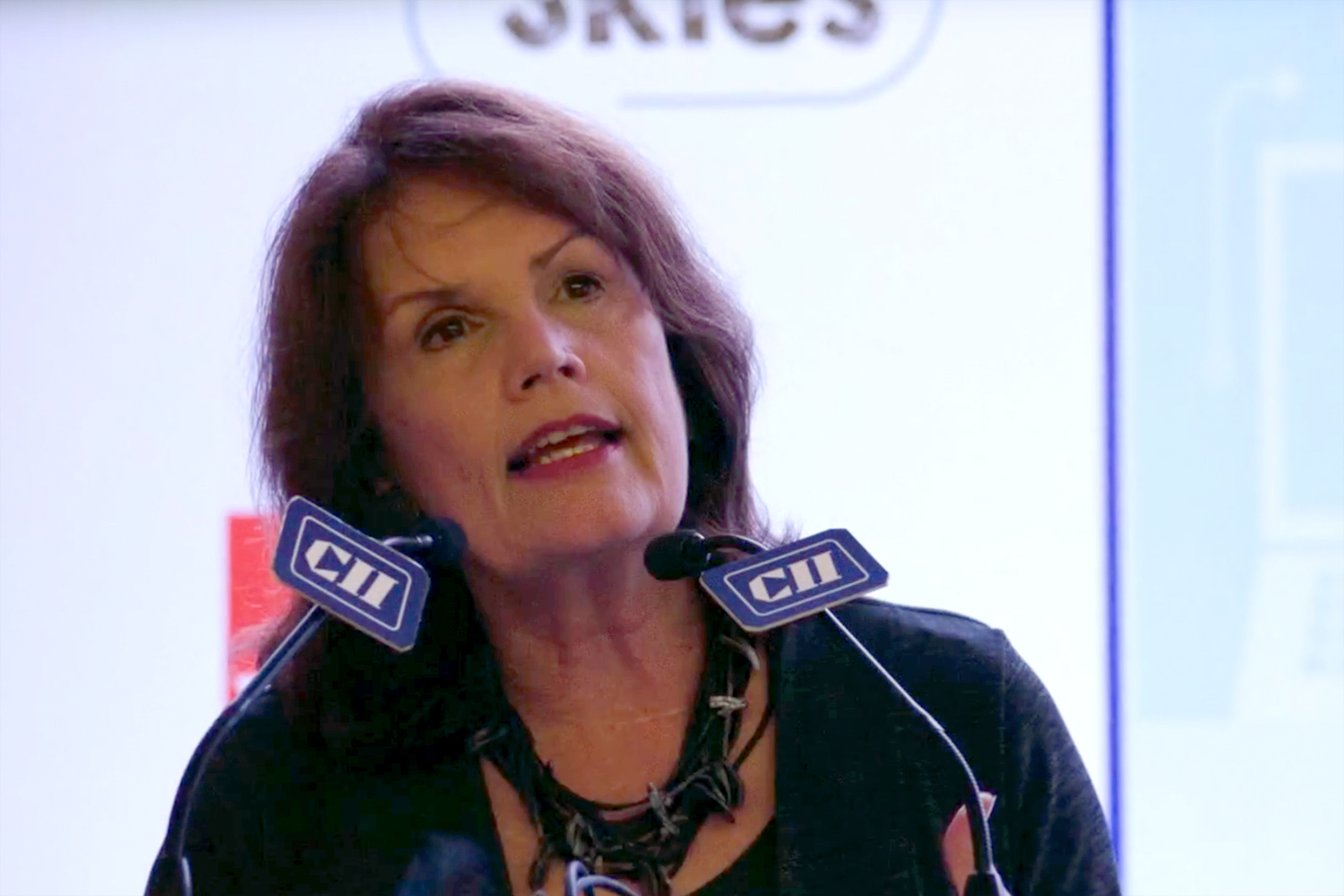 Speaking - Ann McMullan